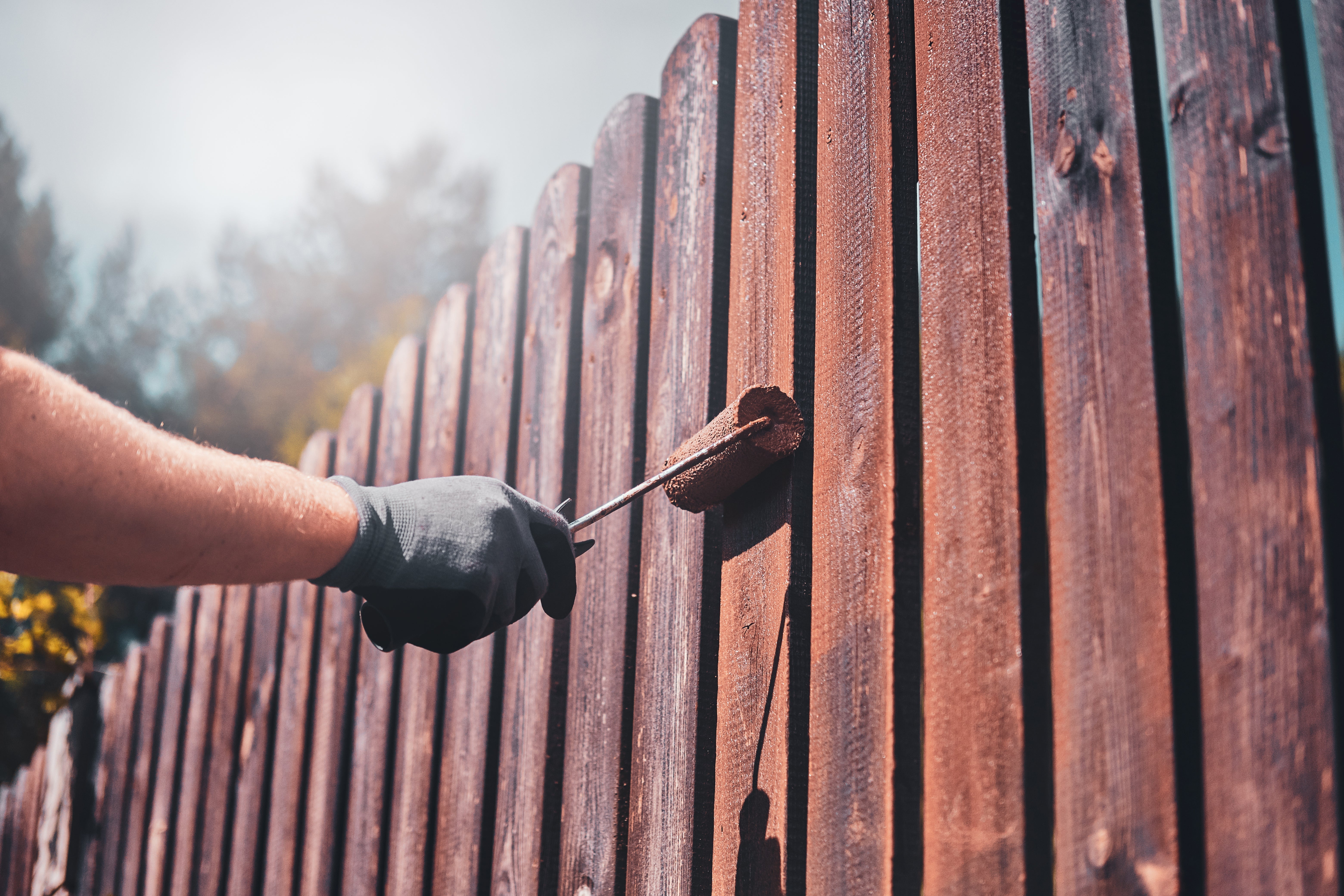 Fence Panel Care Guide for Sussex Gardens | Stubbs Copse – Stubbs Copse ...